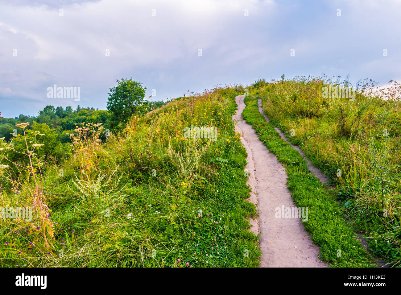 Pathway on a hill with wildflowers Stock Photo - Alamy