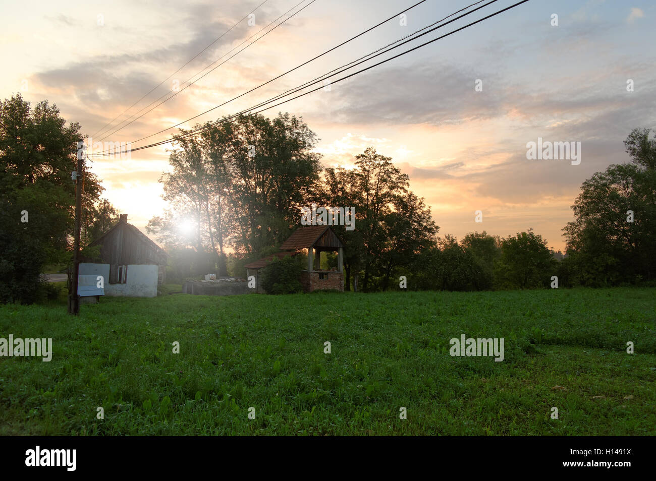 empty overgrown abandoned farm at the summer morning Stock Photo - Alamy