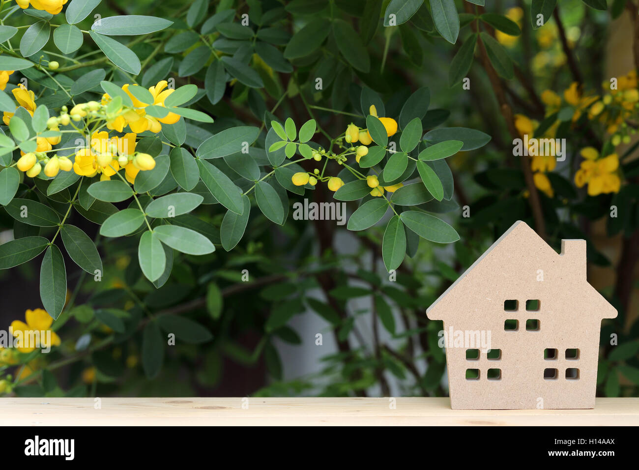 wooden toy house with beautiful blossom tree Stock Photo - Alamy