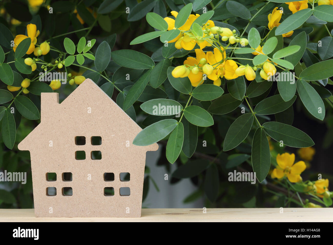 wooden toy house with beautiful blossom tree Stock Photo - Alamy