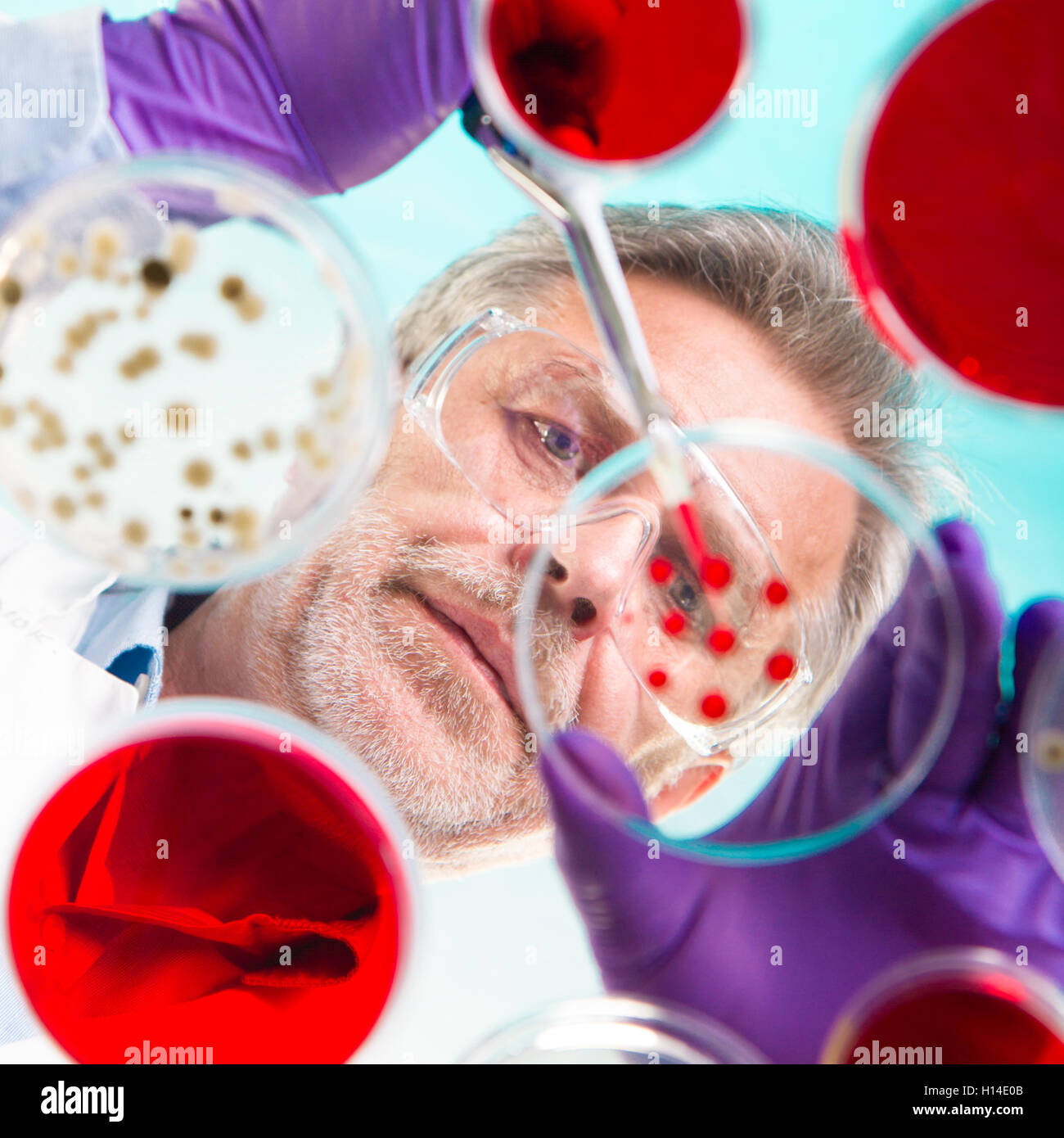 Life science research Stock Photo - Alamy
