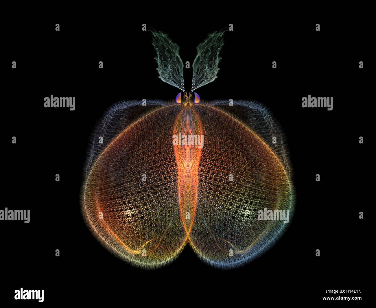 Shining butterfly hi-res stock photography and images - Alamy