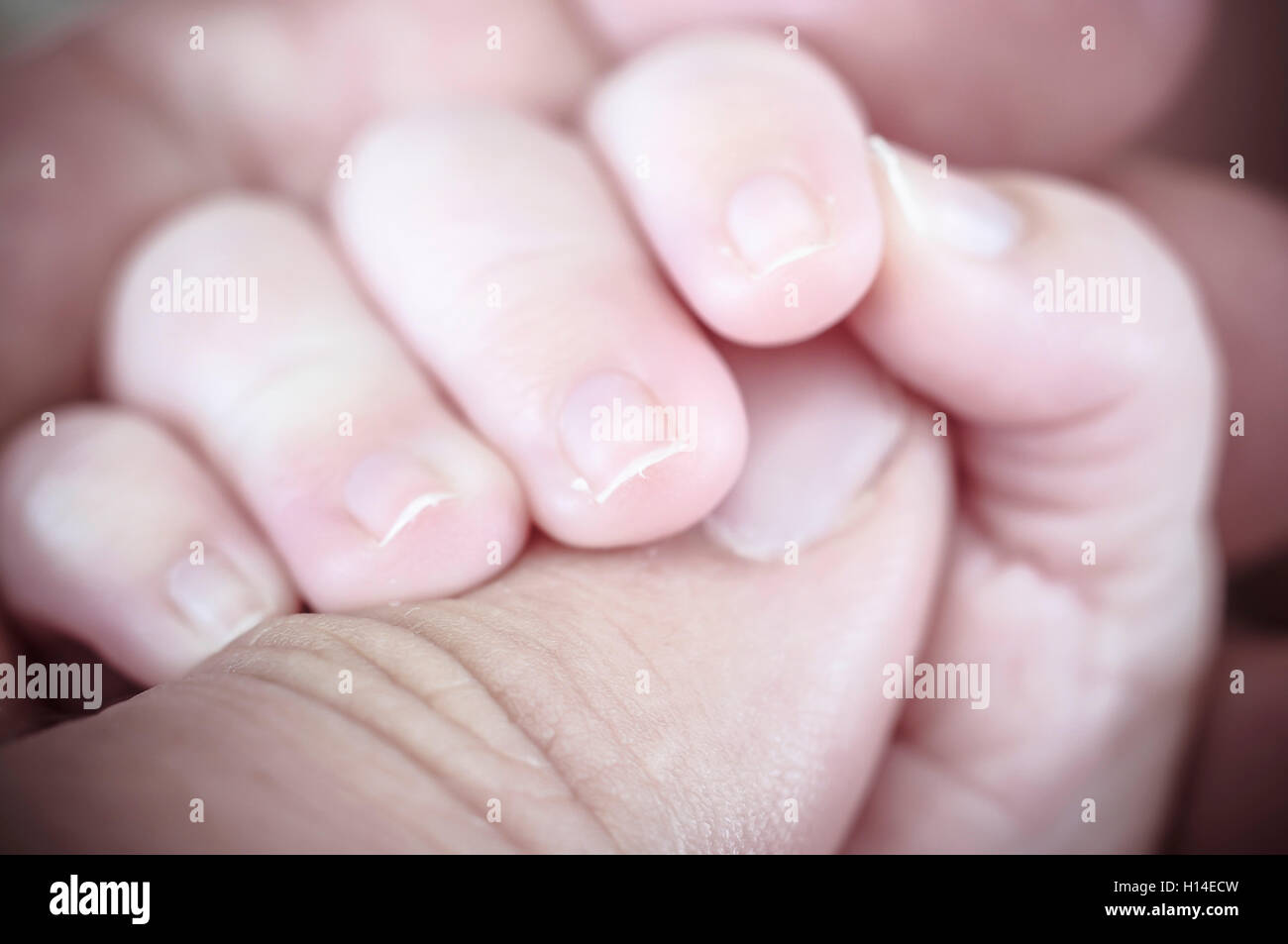 new born baby curled up sleeping on a blanket, multiple expressi Stock ...