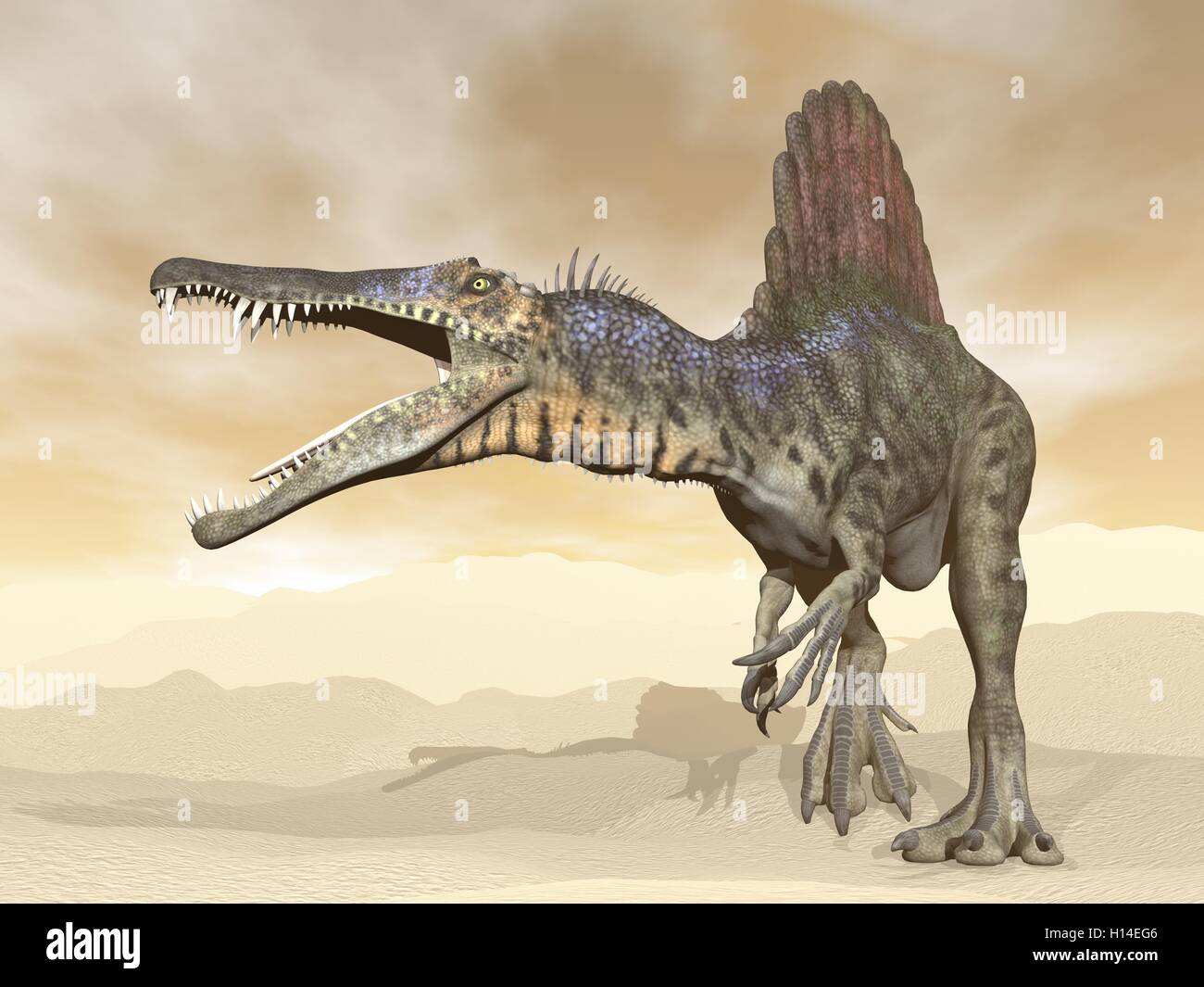 Spinosaurus dinosaur in the desert - 3D render Stock Photo - Alamy