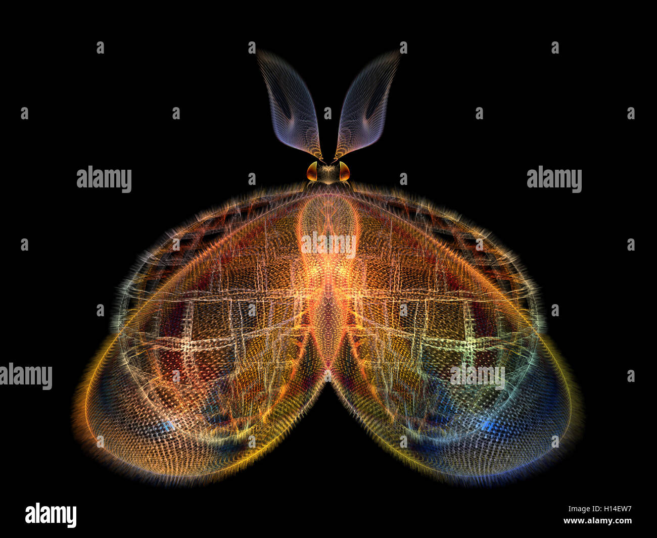 Butterfly wing spread hi-res stock photography and images - Alamy