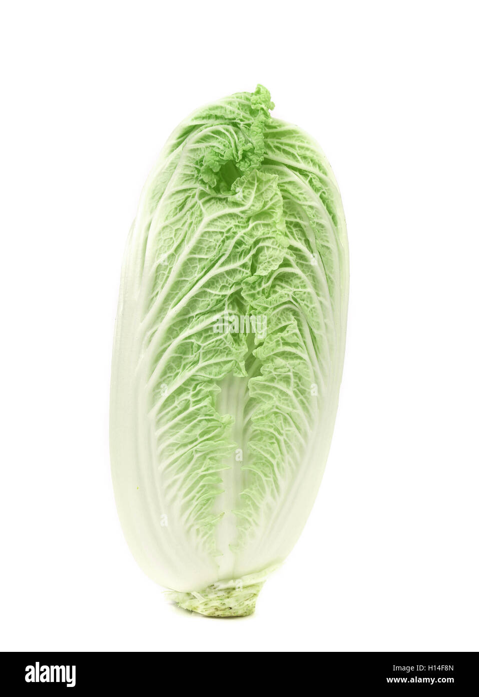 Cabbage chinese structure cabbage hi-res stock photography and images ...