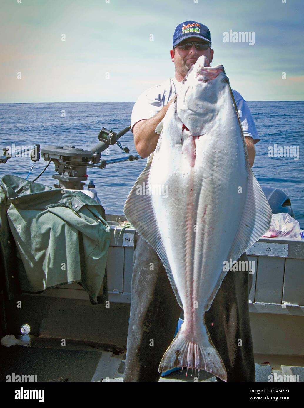 Right eyed flounder hi-res stock photography and images - Alamy