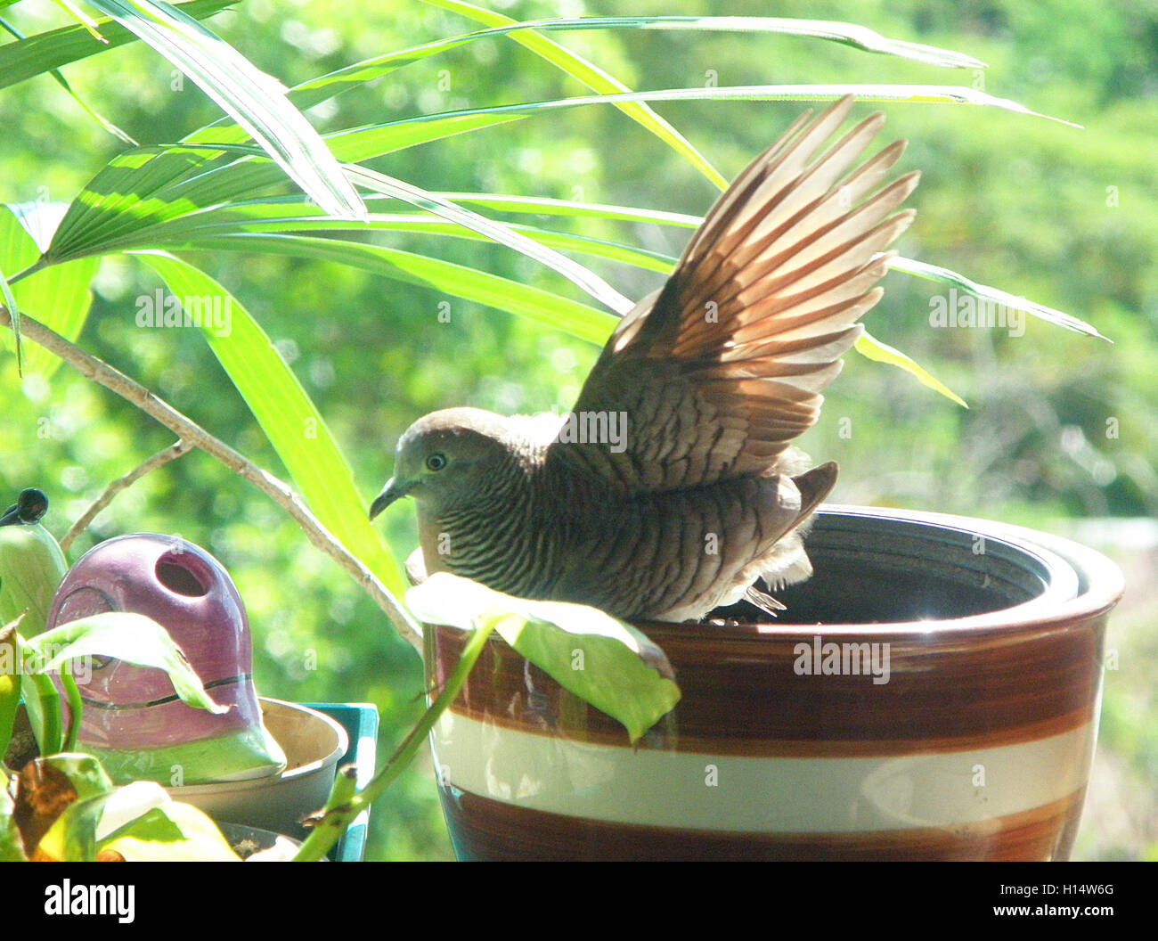 Sunbathing balcony hi-res stock photography and images - Alamy