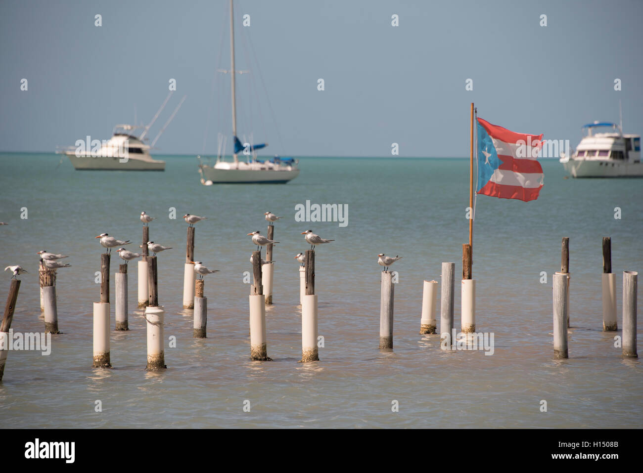 waterfront boats Puerto Rico Stock Photo - Alamy