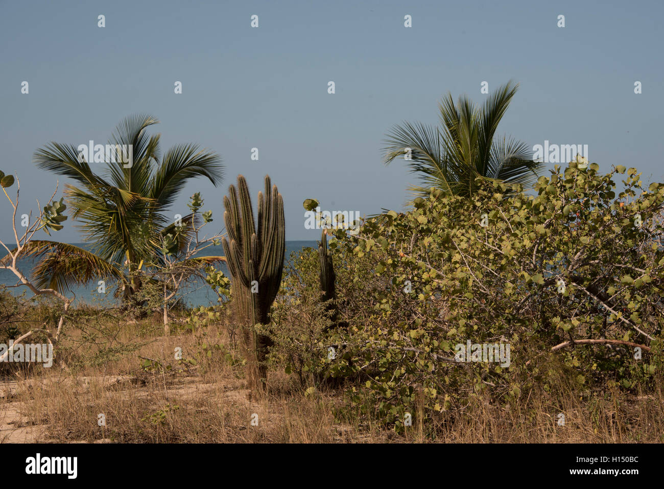 Combate beach puerto rico hi-res stock photography and images - Alamy