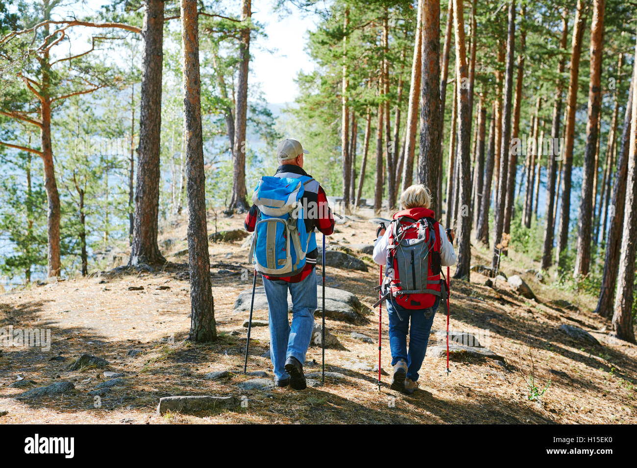 Sporty man in forest hi-res stock photography and images - Alamy
