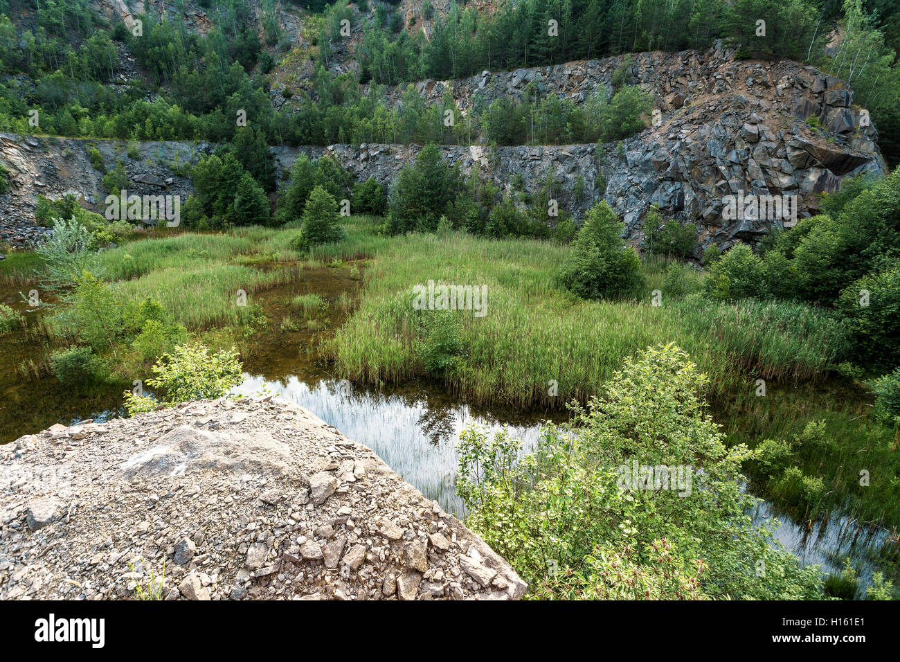 Beautiful landscape of abandoned and flooded quarry with shallow water ...