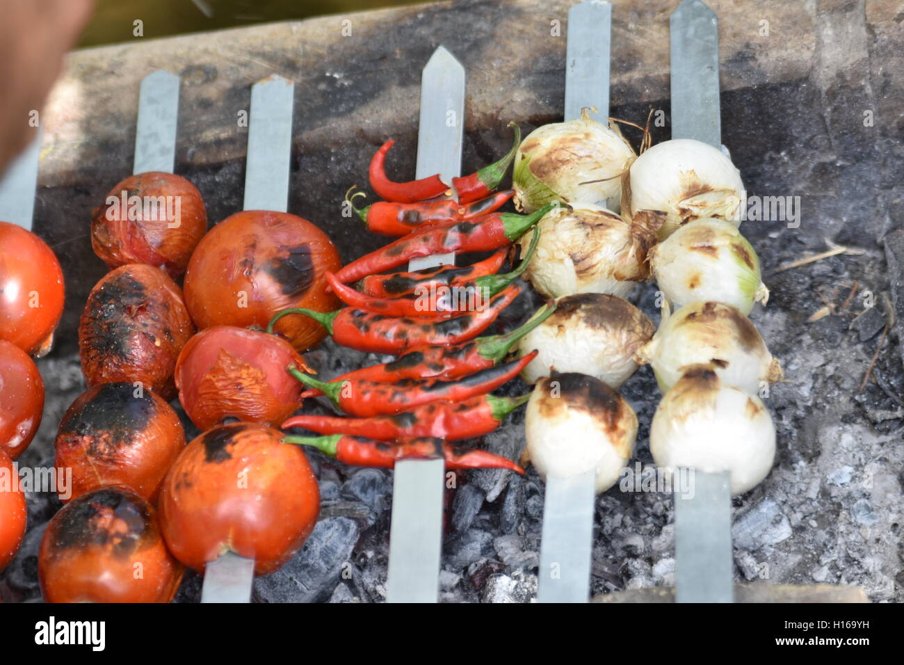 Iranian chicken Barbecue with onion and chilly in the park Stock Photo ...