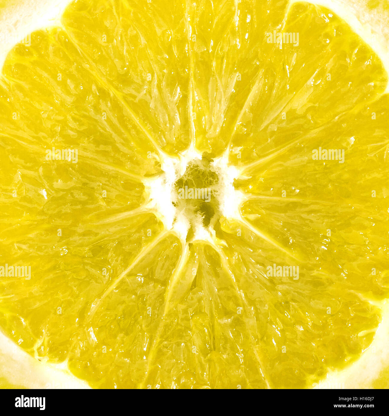 Details of skin and texture of a lemon slice. Extreme close-up. Ideas for background Stock Photo ...