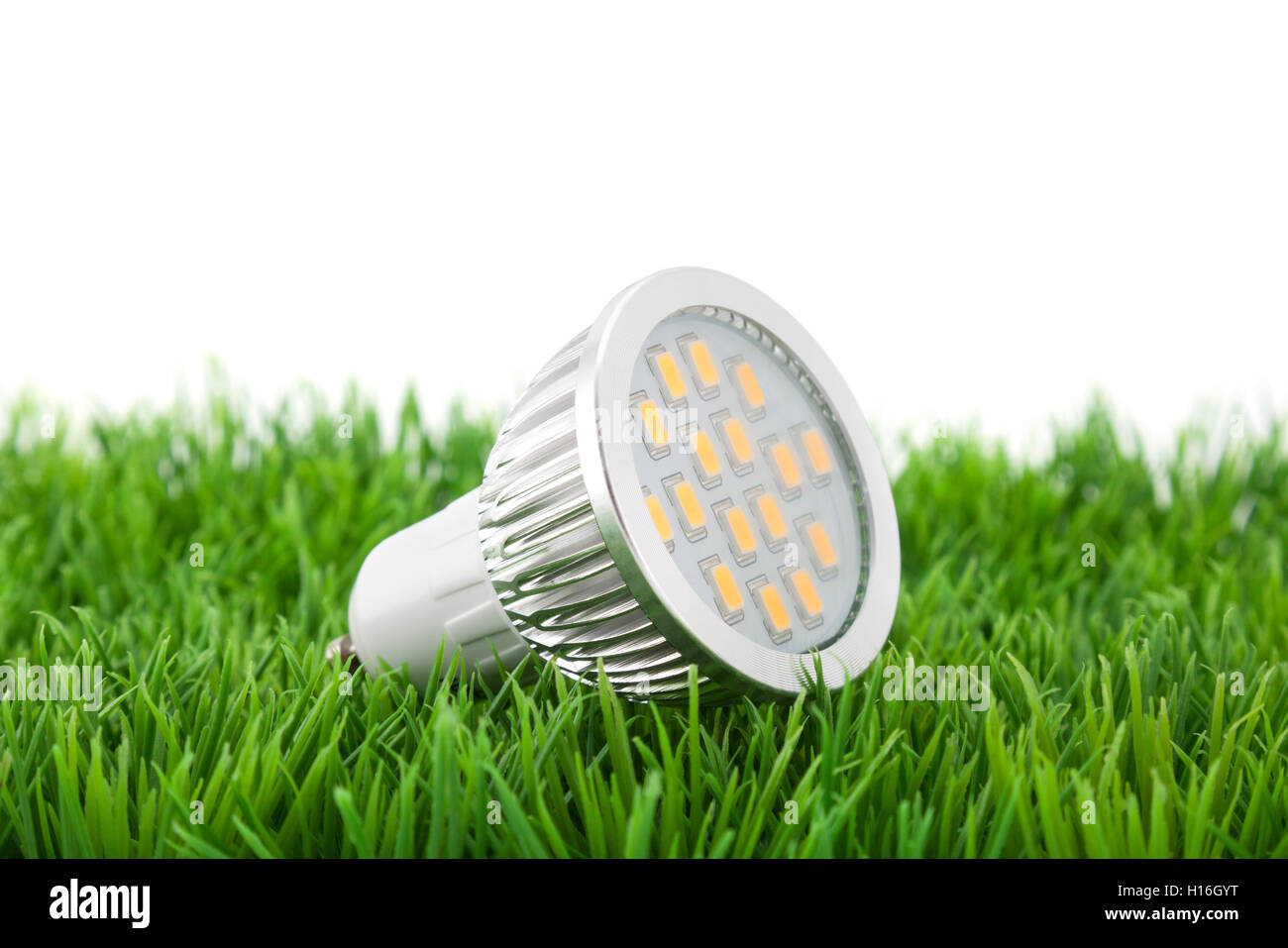 Grass bulb hi-res stock photography and images - Alamy