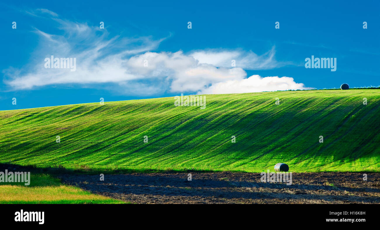 Czech Republic - Landscape with Field an Blue Sky Stock Photo - Alamy