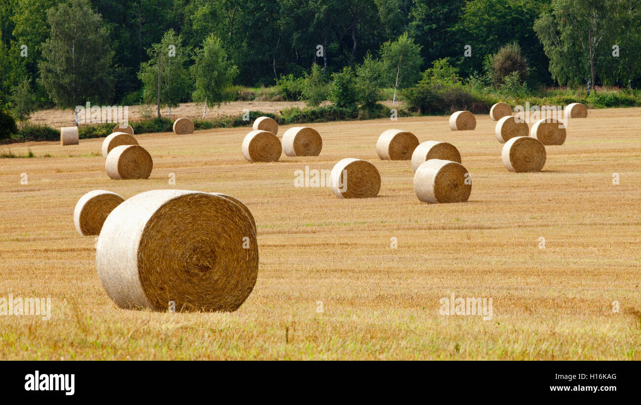 Field crop circle hi-res stock photography and images - Alamy