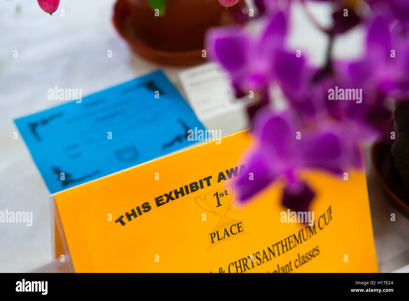 First prize award card hi-res stock photography and images - Alamy
