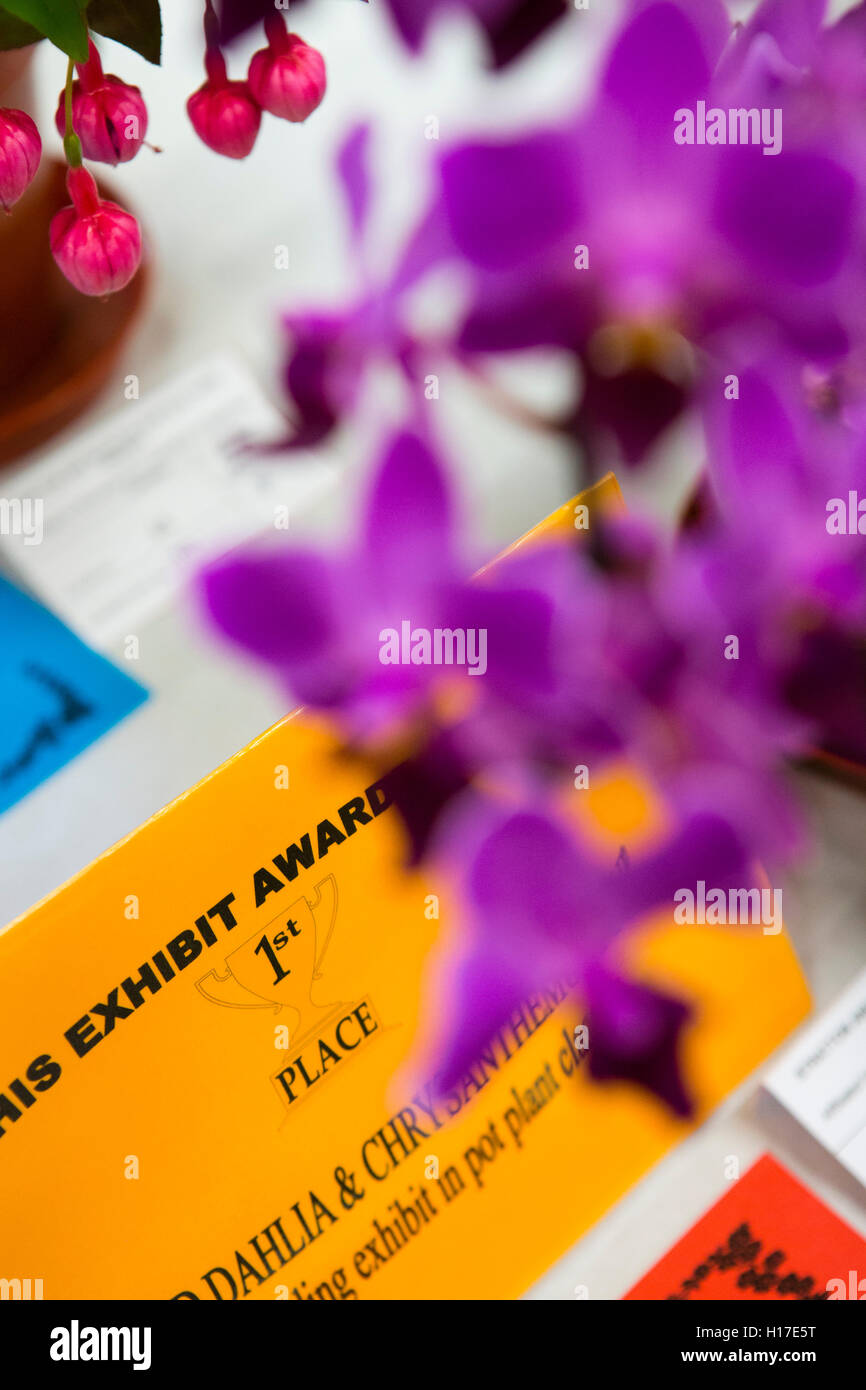 Prize award card hi-res stock photography and images - Alamy