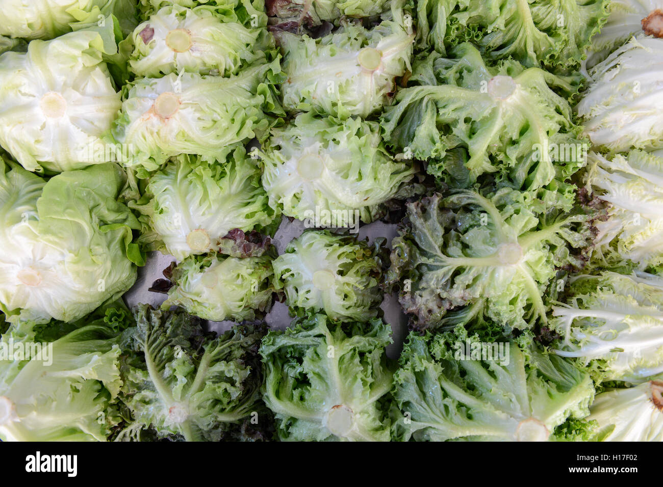 Green cabbage background texture vegetable Stock Photo - Alamy