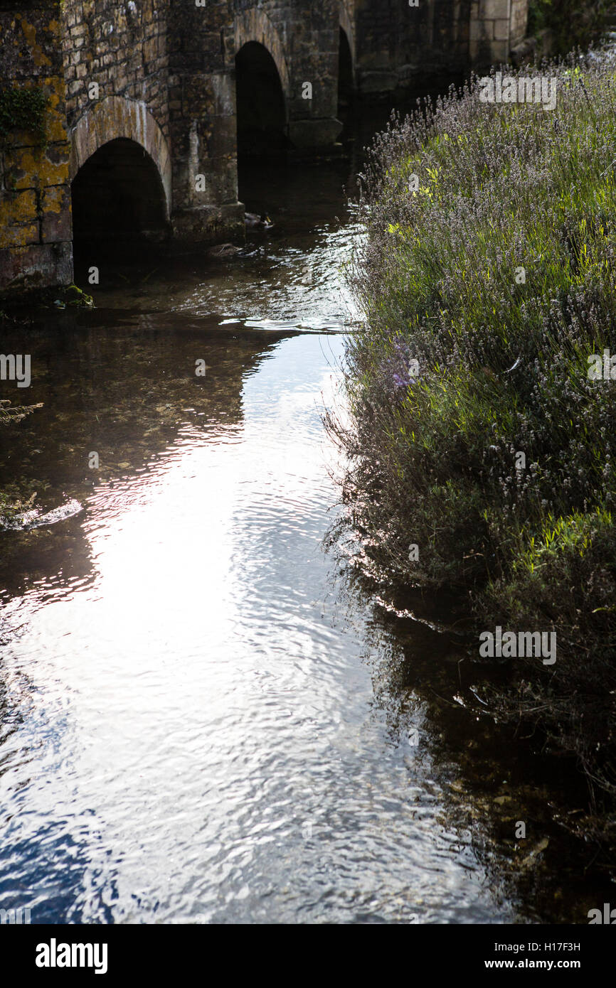 Small stream and bridge with brightly reflected sunlight Stock Photo ...