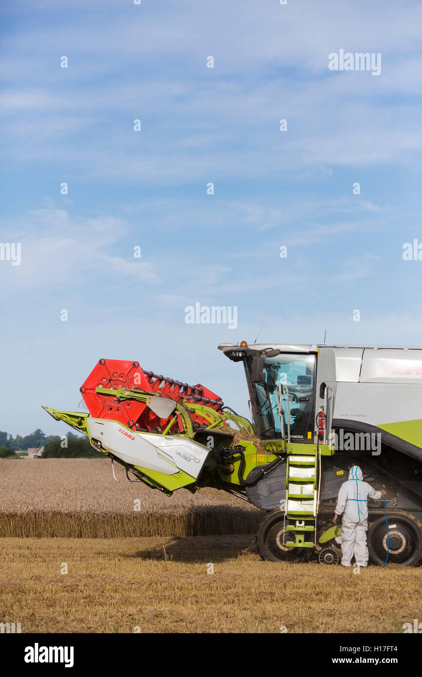 Combine Crashes