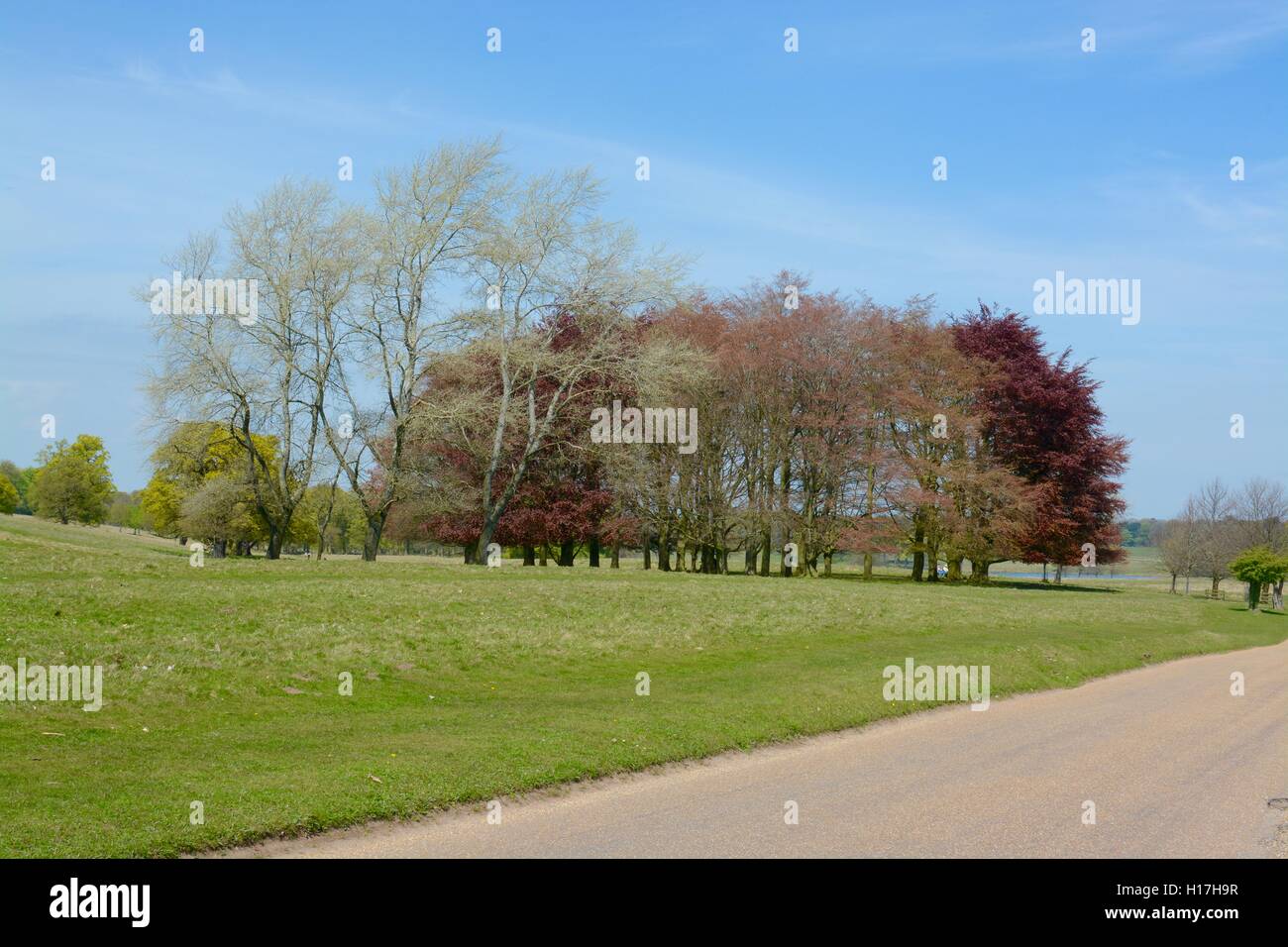 Tatton Park Knutsford High Resolution Stock Photography and Images - Alamy