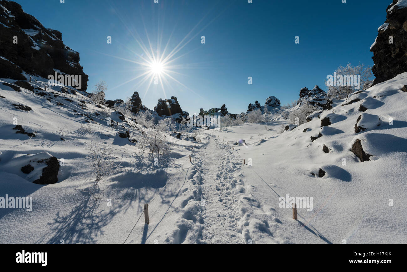 Sunshine, tracks in snow, lava field covered in snow, Krafla volcanic ...