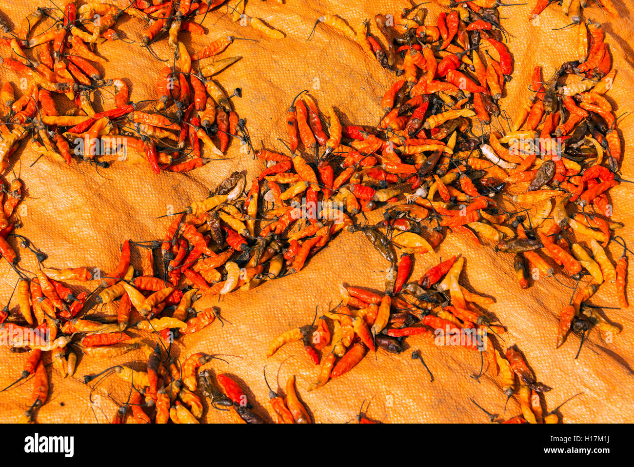 Chillies drying in sun, Nong Khiaw, Luang Prabang, Laos Stock Photo - Alamy