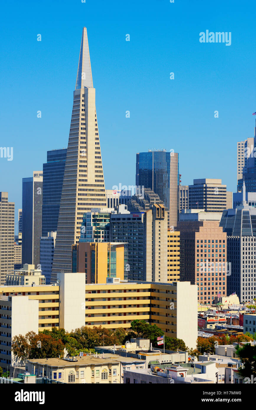 Downtown and TransAmerica Building, San Francisco, California, USA ...