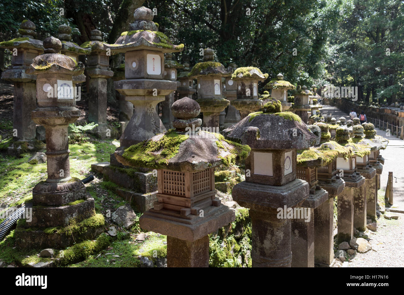 Toro (stone lanterns) along the path to Kasuga Taisha Shrine in Nara ...