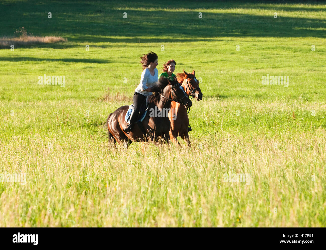Women riding horseback rider hi-res stock photography and images - Alamy