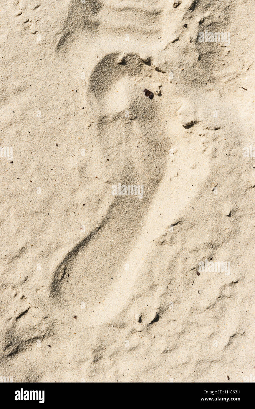 Bare-footed human footstep in a beach sand. Vertical photography Stock ...
