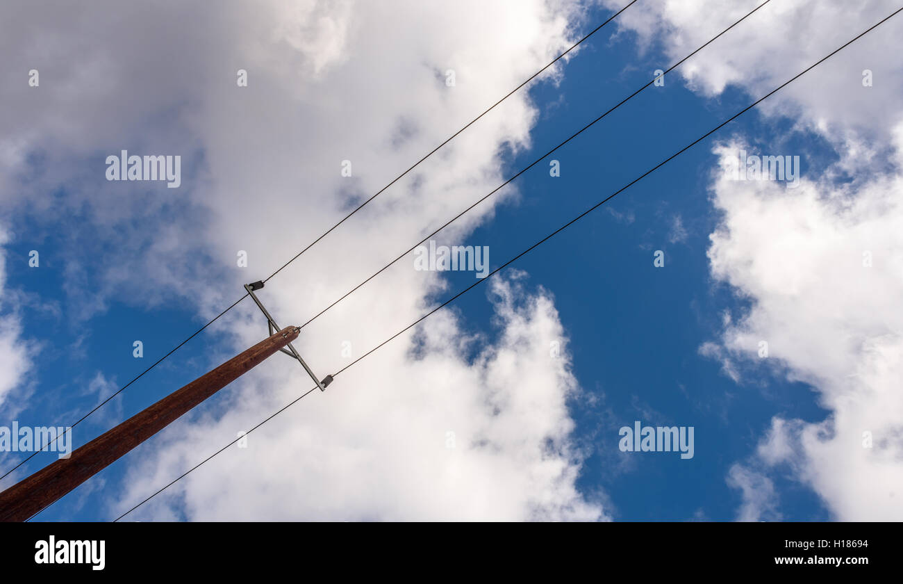 Single wooden electricity pole with three cables carrying electric ...