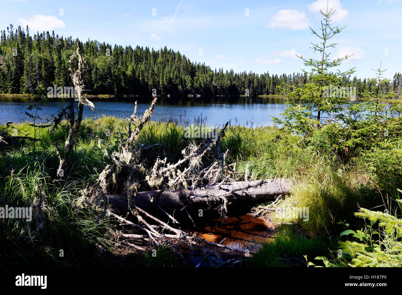 Edward lake in Mauricie, Quebec, Canada Stock Photo - Alamy