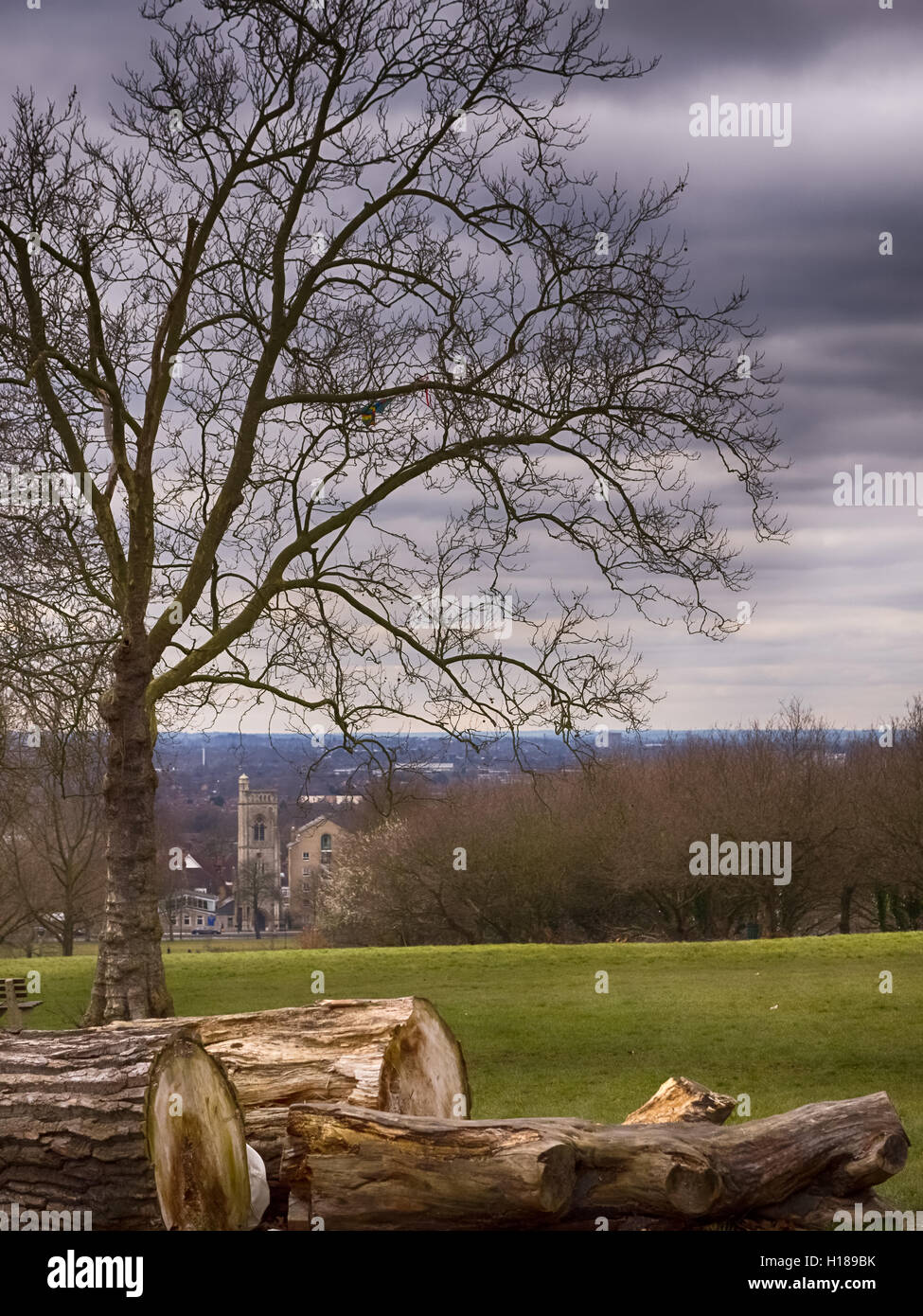 Streatham Park High Resolution Stock Photography and Images - Alamy