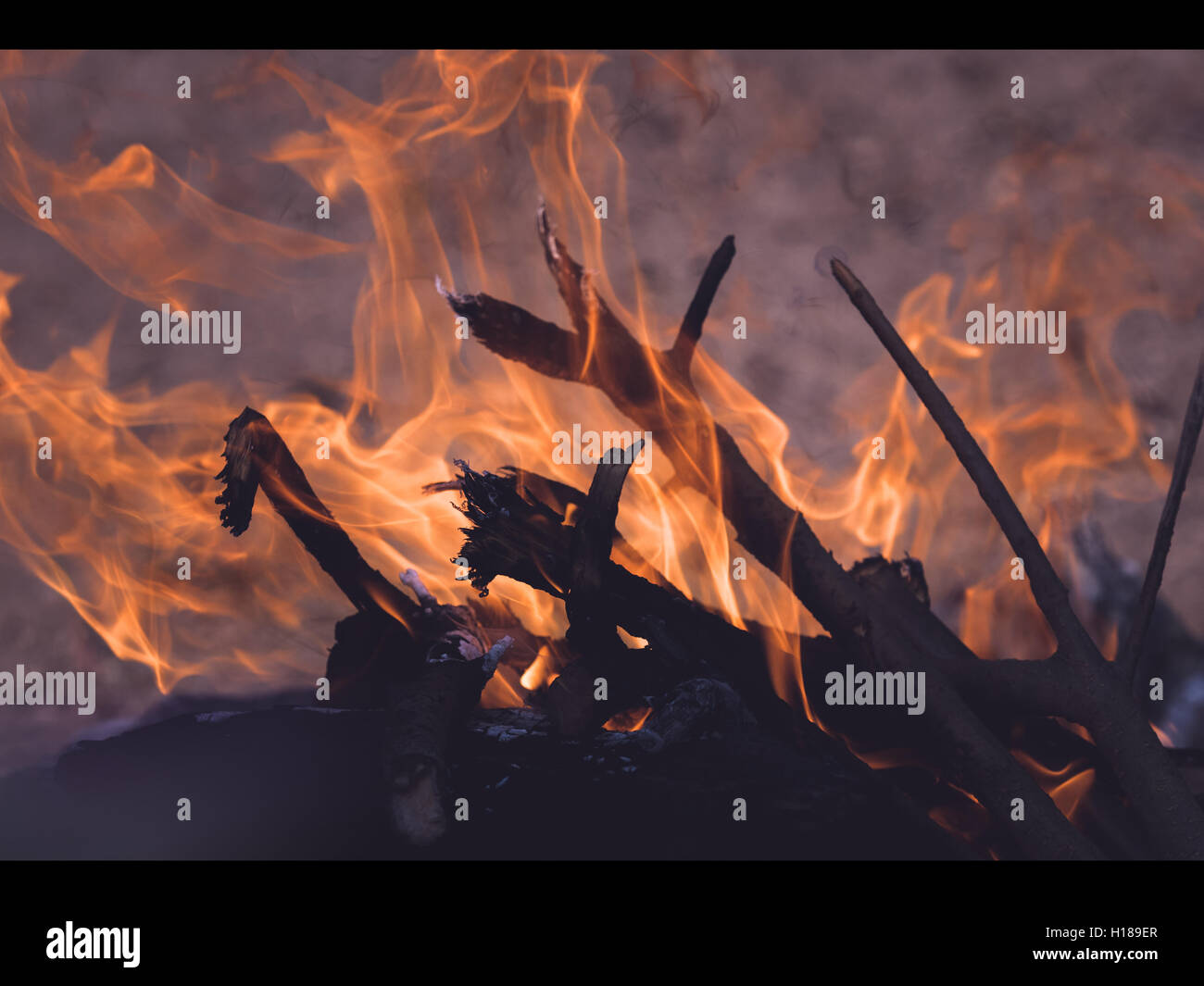 Campfire burning in evening close hi-res stock photography and images ...