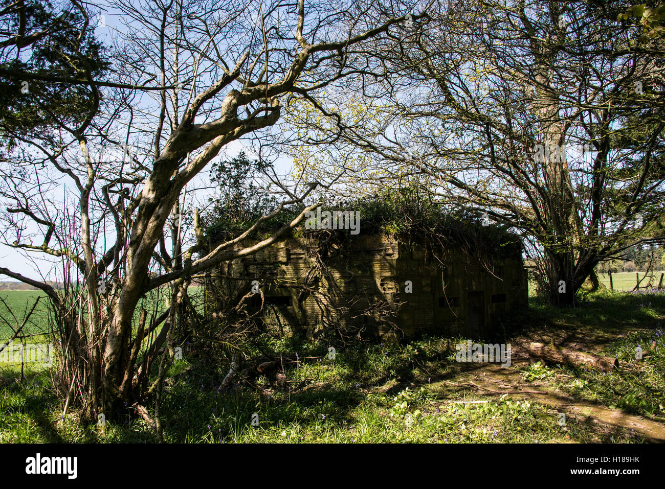 Pillbox woods hi-res stock photography and images - Alamy