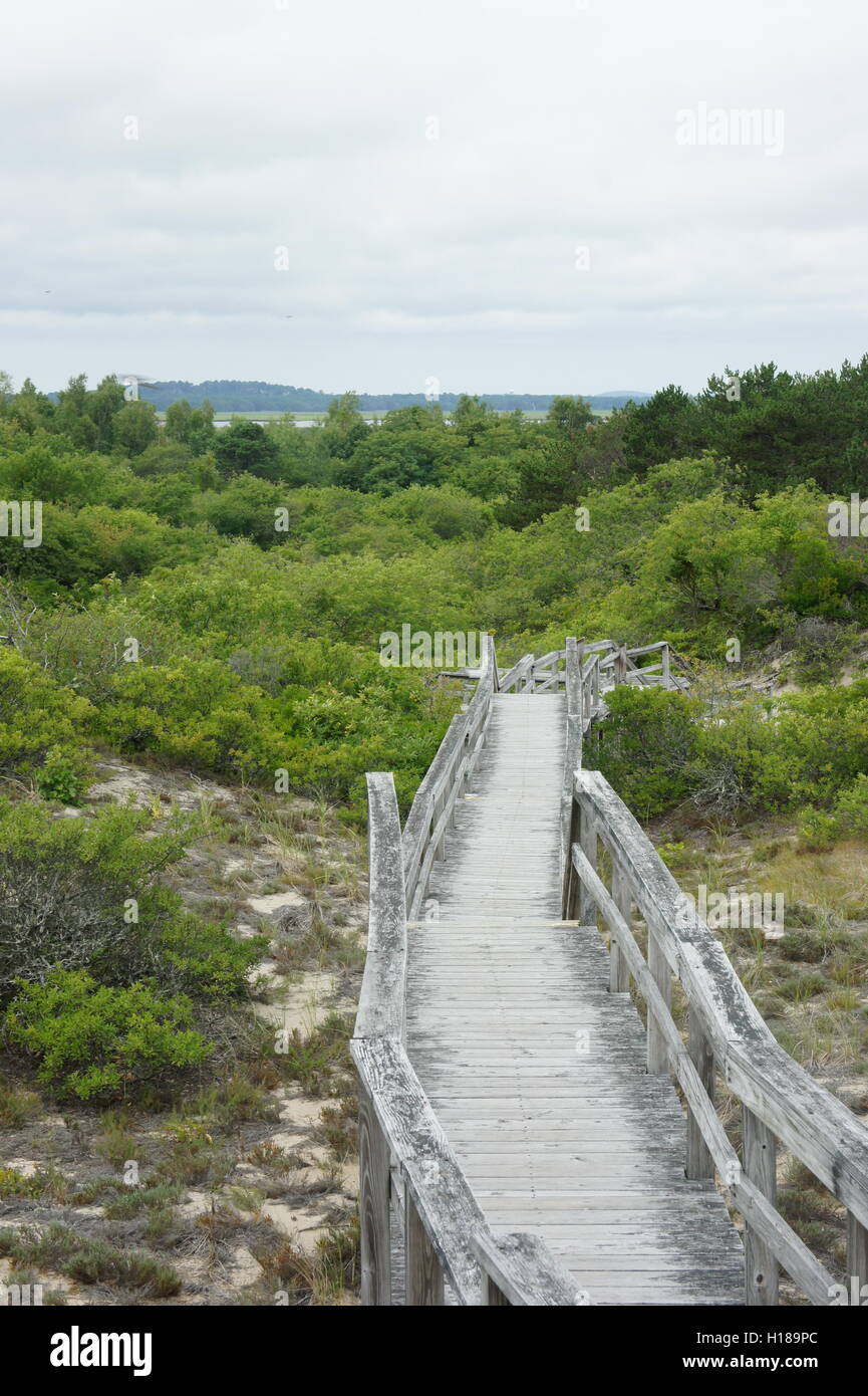 Boardwalk on Dunes, Plum Island in Newburyport Ma Stock Photo - Alamy