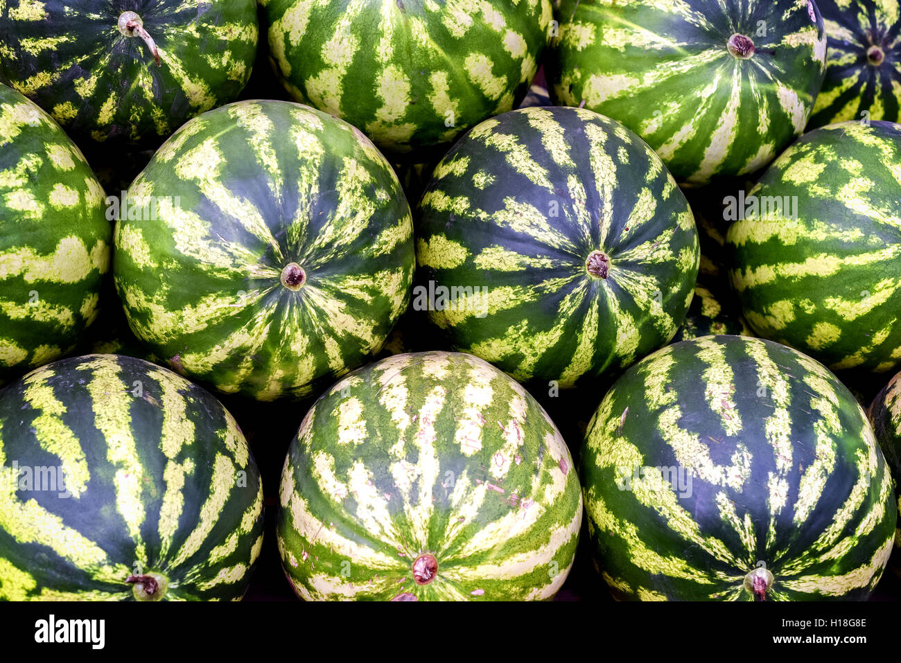 Pile of fresh green watermelons stacked in a large display, showing the ...