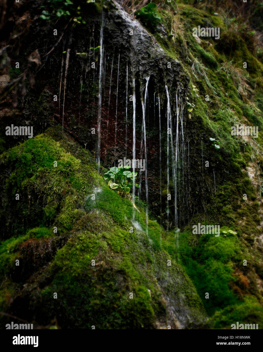 Water dripping rock hi-res stock photography and images - Alamy