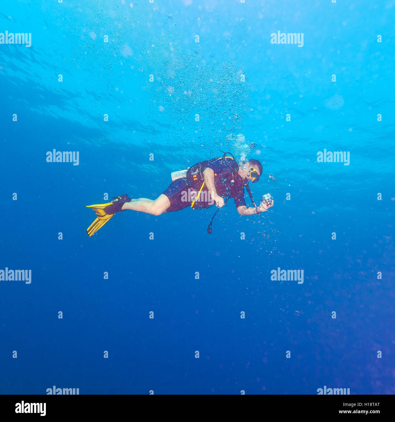 Scuba diver swimming yellow tropical hi-res stock photography and ...