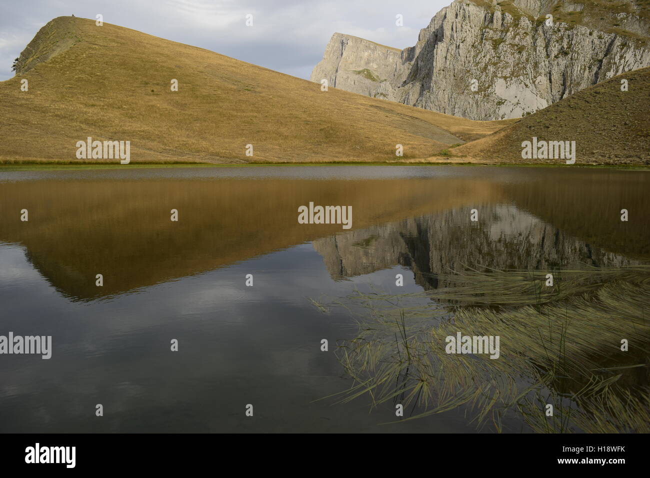 Dragon lake hi-res stock photography and images - Alamy