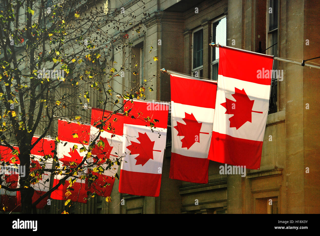 At canada house in trafalgar square hi-res stock photography and images ...