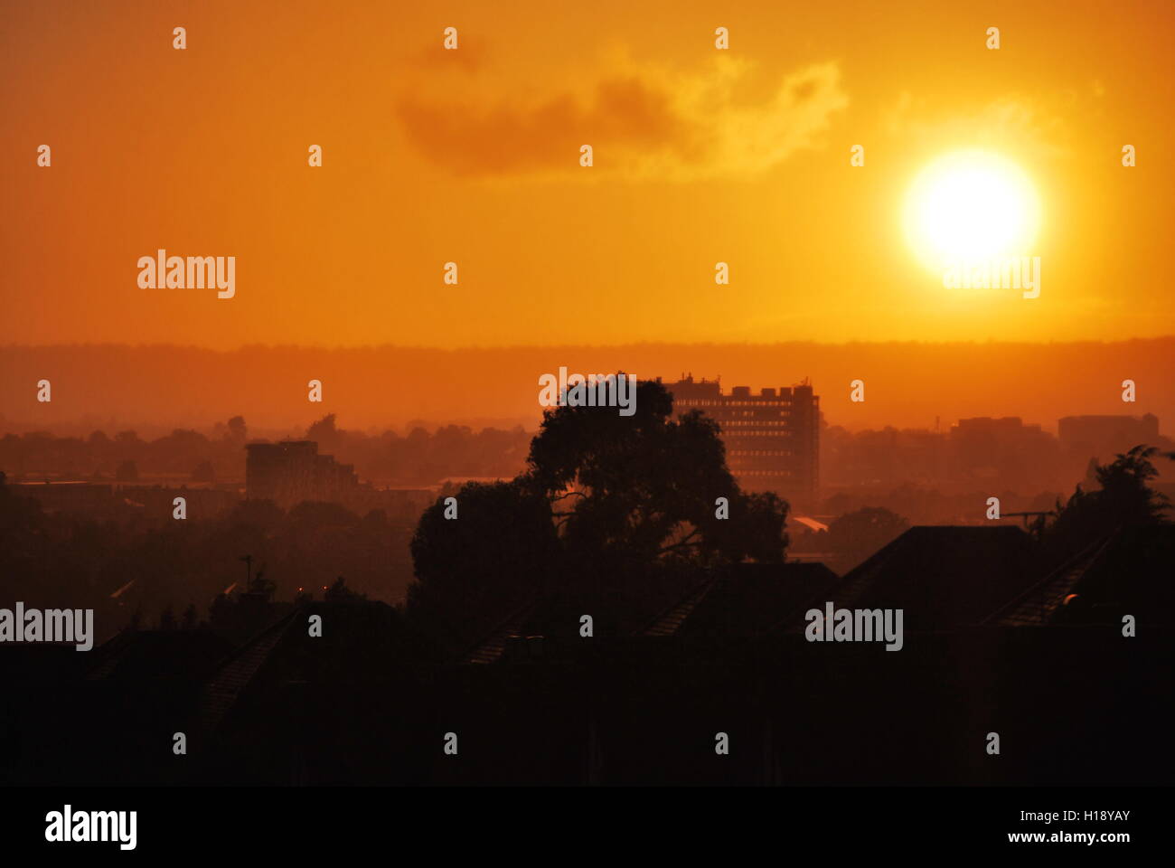 red and gold sunset with layers of background disappearing in the ...