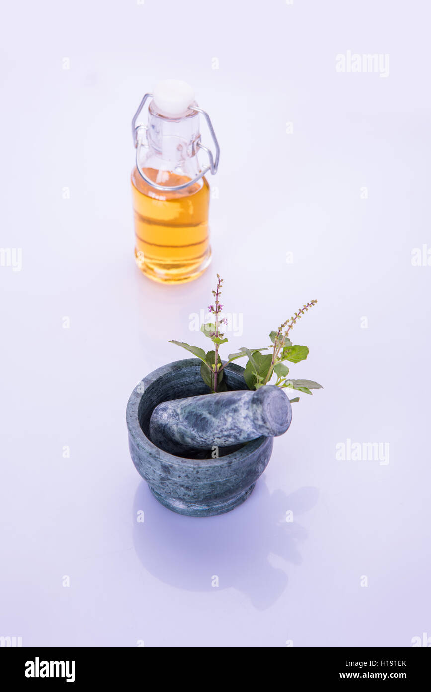 Tulsi oil or holy basil oil with Mortar and Pestle, tulsi or holy basil ...