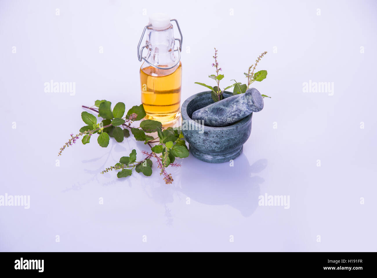 Tulsi oil or holy basil oil with Mortar and Pestle, tulsi or holy basil ...