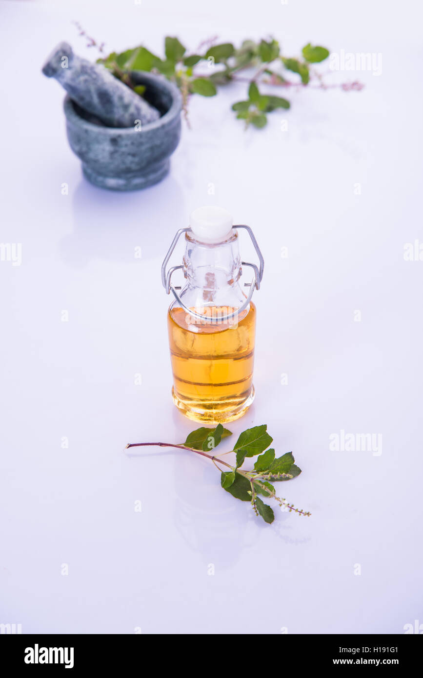 Tulsi oil or holy basil oil with Mortar and Pestle, tulsi or holy basil ...