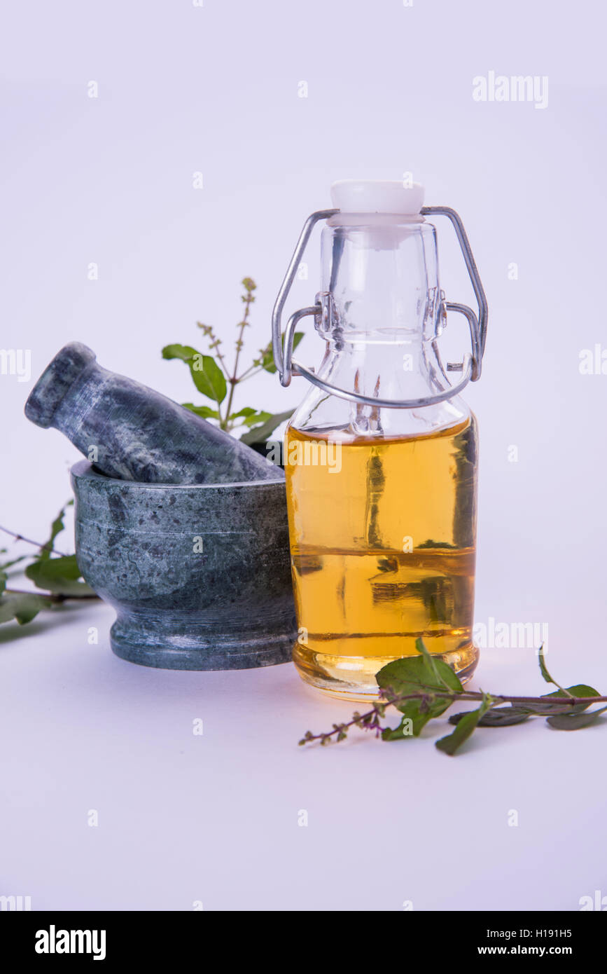 Tulsi oil or holy basil oil with Mortar and Pestle, tulsi or holy basil ...