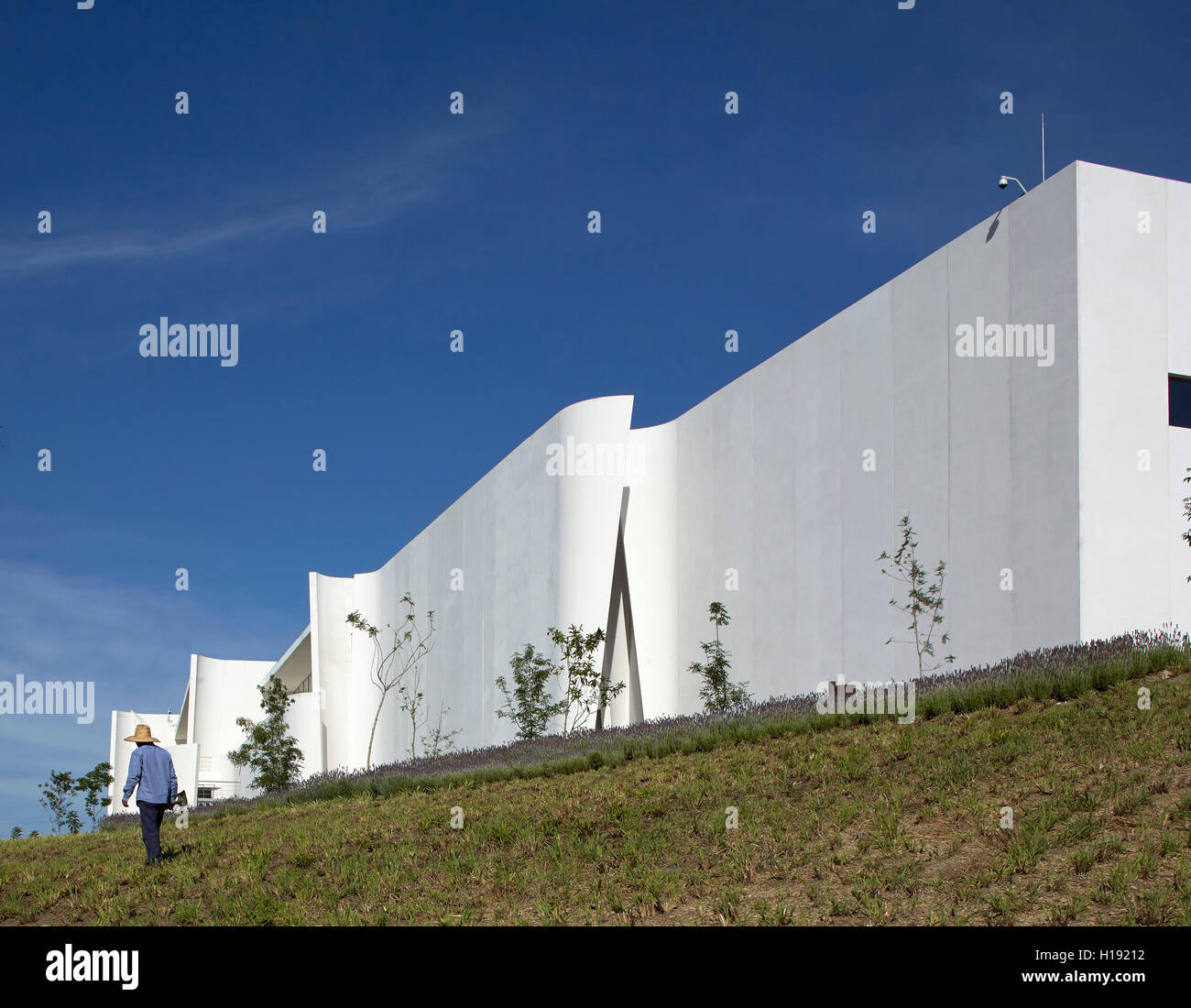 Distant rear park view. Museo Internacional del Barroco MIB, Puebla ...
